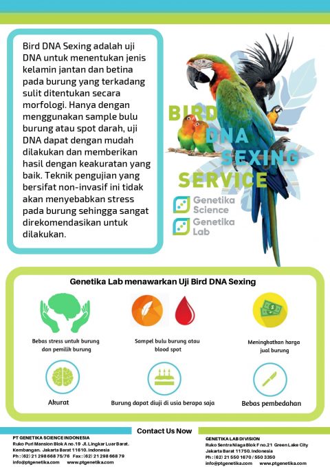 Brochure – Genetika Science