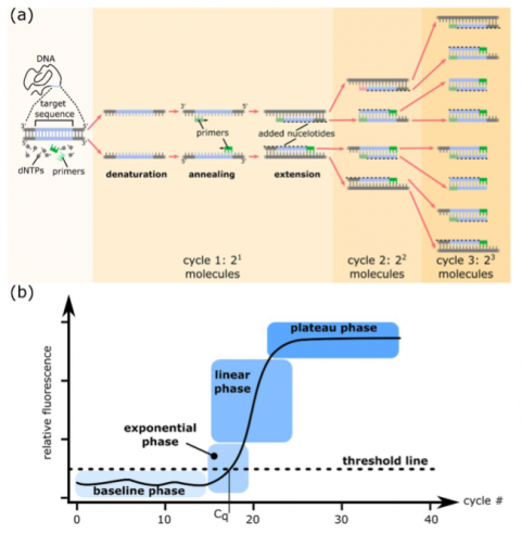 Get to Know Gene Expression Analysis Science