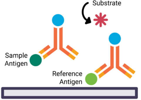 ELISA: Mengenal Berbagai Metode & Jenis – Genetika Science
